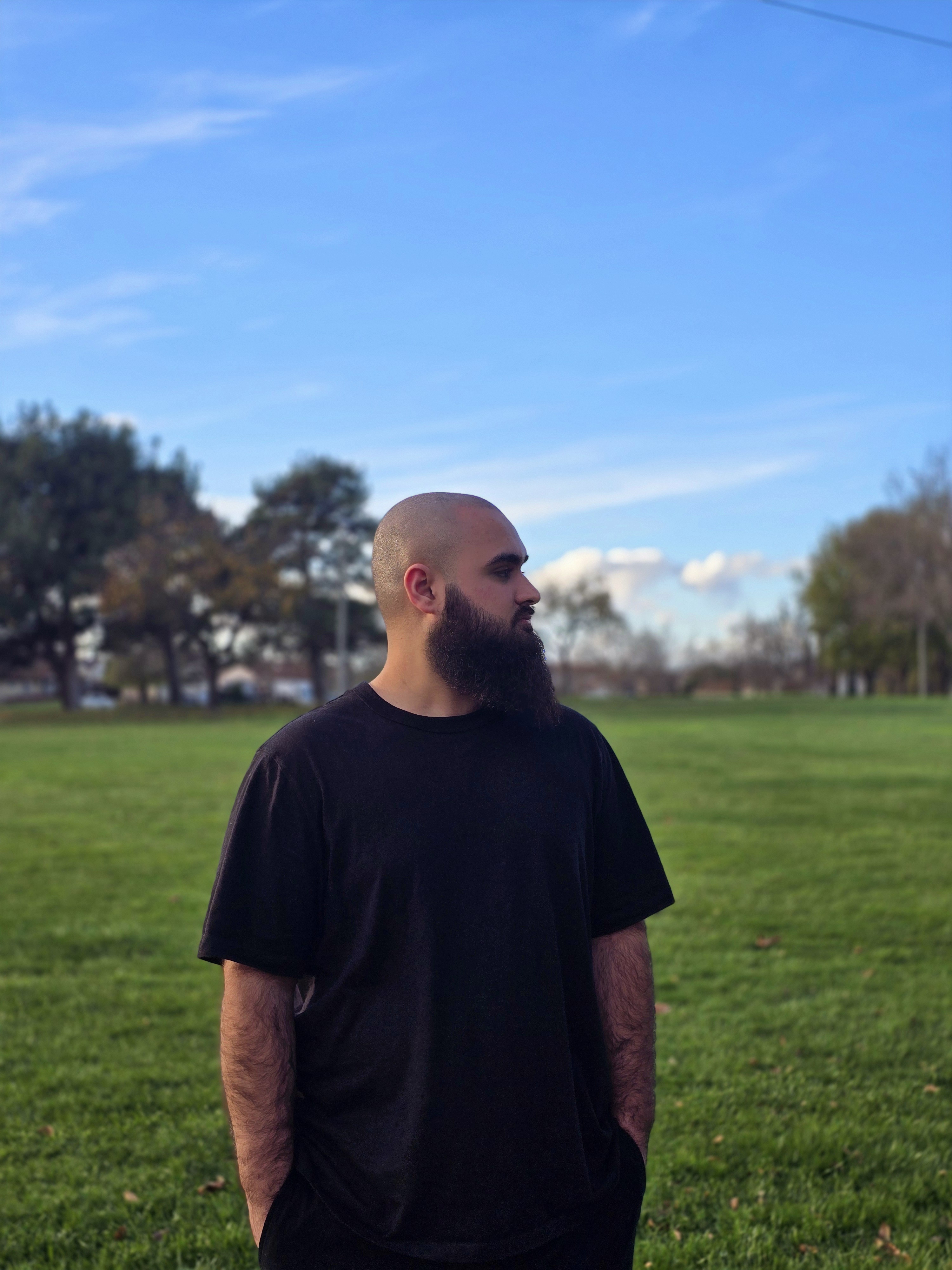 Stephen Thompson Portfolio