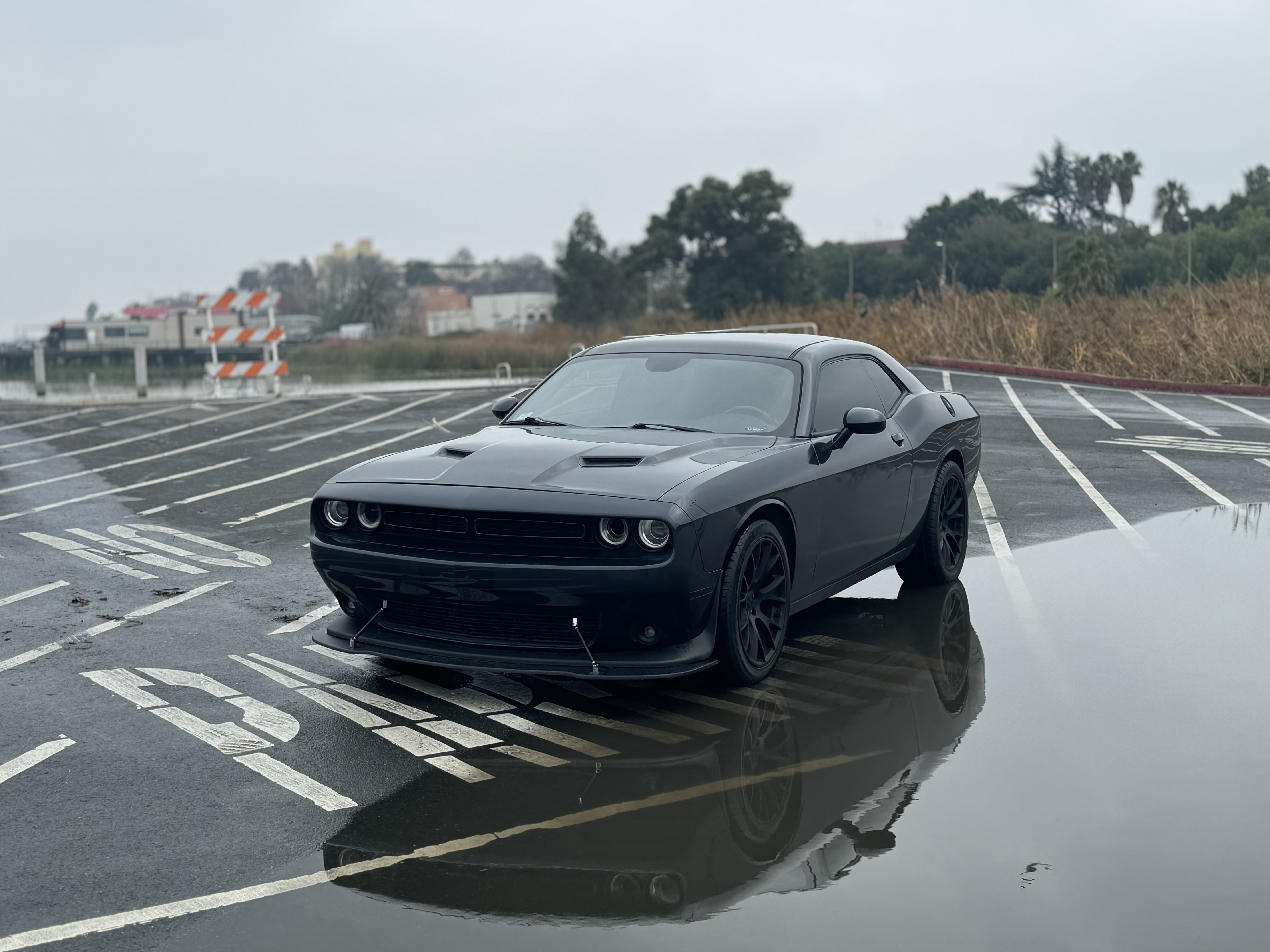 Stephen Thompson Portfolio